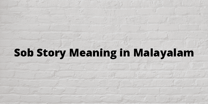 Sob Story Meaning In Malayalam - മലയാളം അർത്ഥം