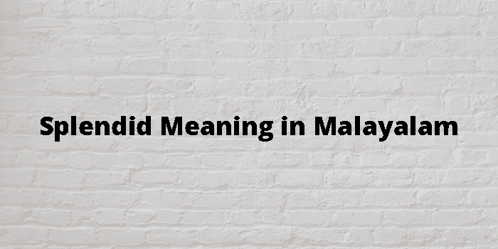 Splendid Meaning In Malayalam - മലയാളം അർത്ഥം