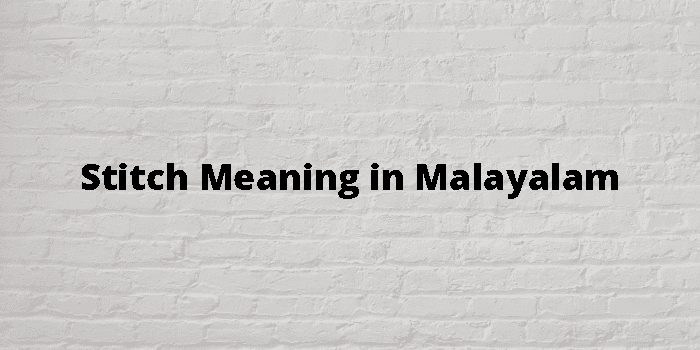 Stitch Meaning In Malayalam - മലയാളം അർത്ഥം