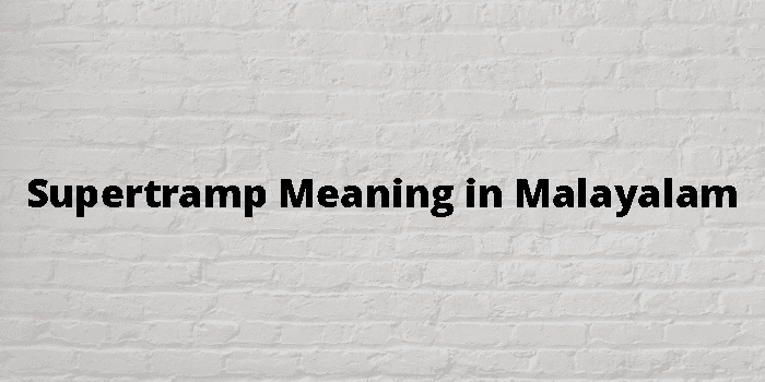 Supertramp Meaning In Malayalam - മലയാളം അർത്ഥം