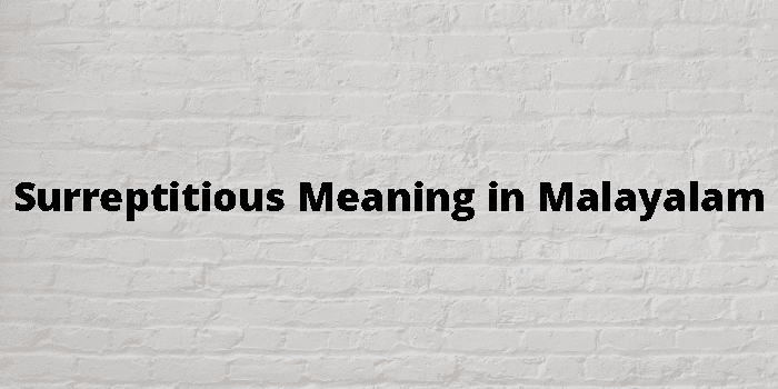 Surreptitious Meaning In Malayalam - മലയാളം അർത്ഥം