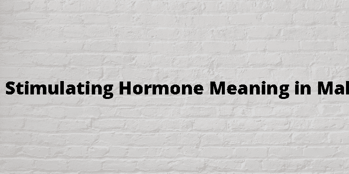 Thyroid Stimulating Hormone Meaning In Malayalam മലയാളം അർത്ഥം