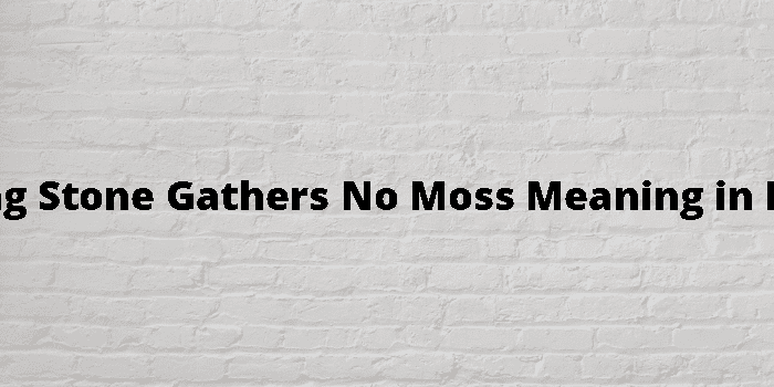 A Rolling Stone Gathers No Moss Meaning In Marathi - मराठी अर्थ