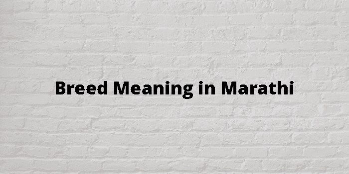 Breed Meaning In Marathi - मराठी अर्थ