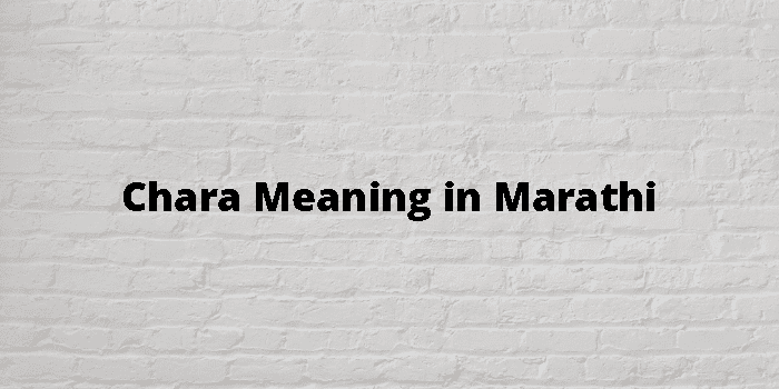 Chara Meaning In Marathi - मराठी अर्थ