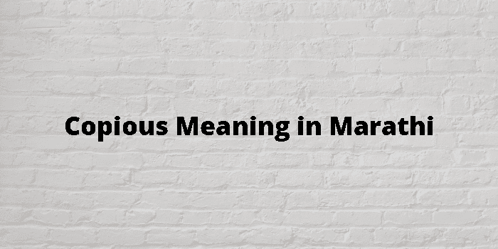 Copious Meaning In Marathi - मराठी अर्थ