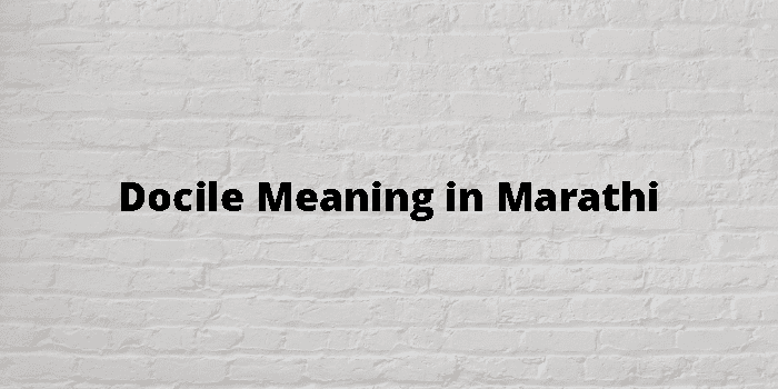 Docile Meaning In Marathi - मराठी अर्थ