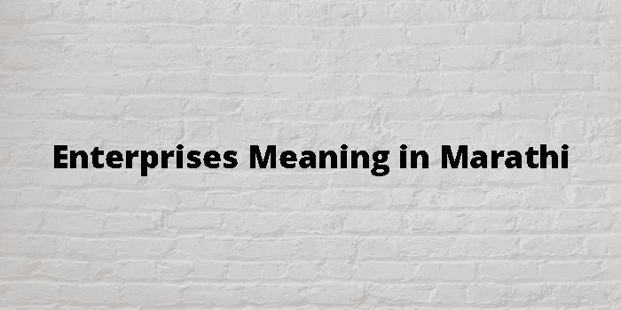 Enterprises Meaning In Marathi - मराठी अर्थ