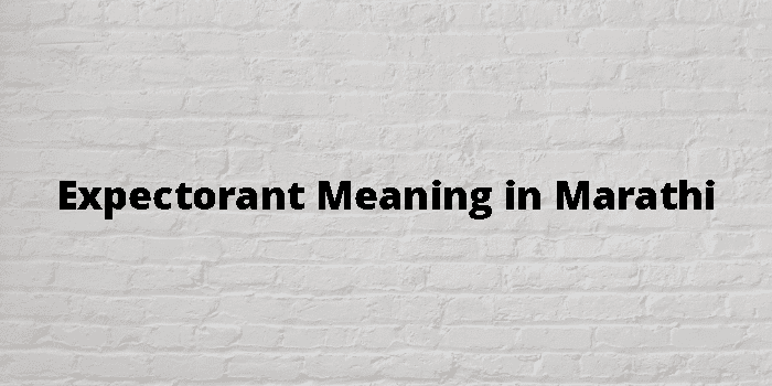 Expectorant Meaning In Marathi - मराठी अर्थ