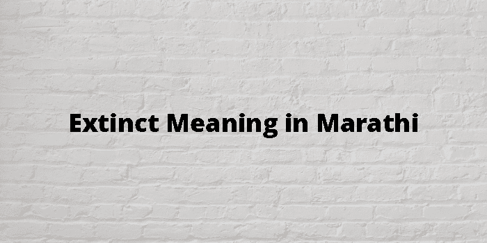 Extinct Meaning In Marathi - मराठी अर्थ