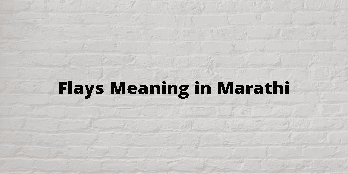 Flays Meaning In Marathi - मराठी अर्थ