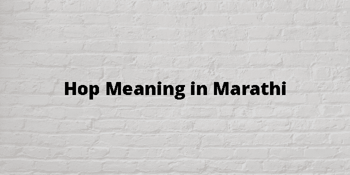 Hop Meaning In Marathi - मराठी अर्थ