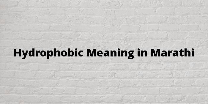 Hydrophobic Meaning In Marathi - मराठी अर्थ