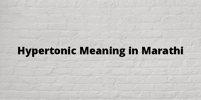 Hypertonic Meaning In Marathi - मराठी अर्थ
