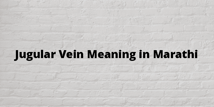 Jugular Vein Meaning In Marathi - मराठी अर्थ