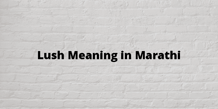 Lush Meaning In Marathi - मराठी अर्थ