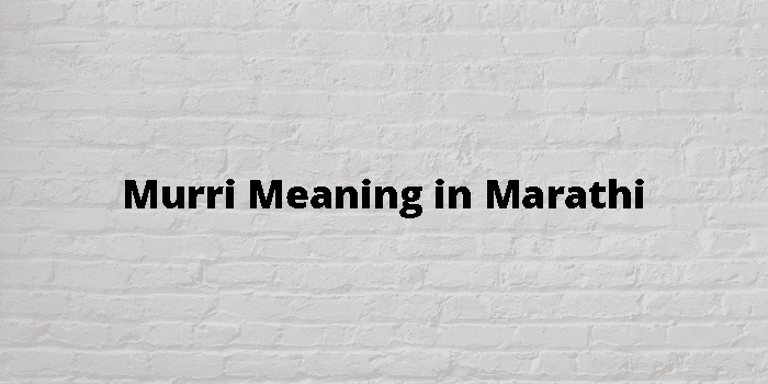 Murri Meaning In Marathi - मराठी अर्थ