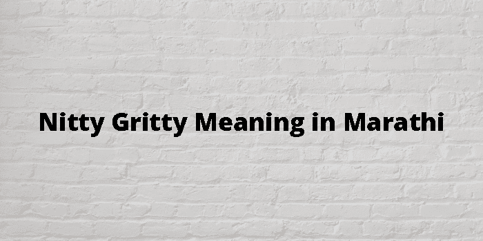 Nitty Gritty Meaning In Marathi - मराठी अर्थ