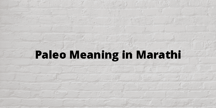 Paleo Meaning In Marathi - मराठी अर्थ