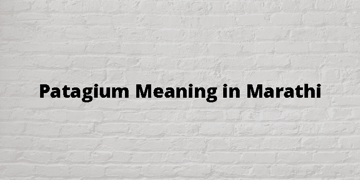 Patagium Meaning In Marathi - मराठी अर्थ