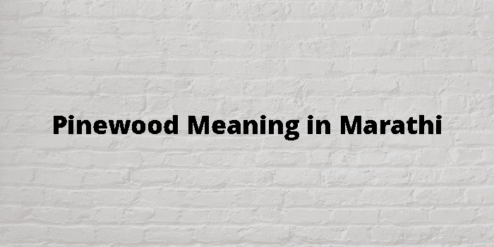 Pinewood Meaning In Marathi - मराठी अर्थ