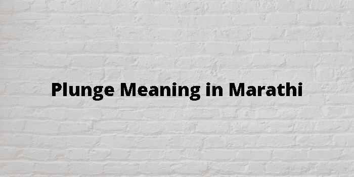 Plunge Meaning In Marathi - मराठी अर्थ