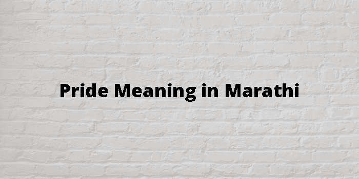 Pride Meaning In Marathi - मराठी अर्थ