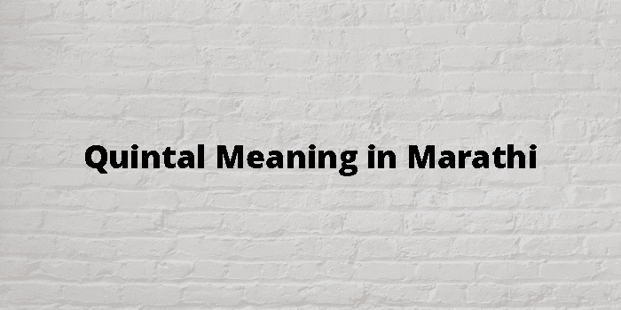 Quintal Meaning In Marathi - मराठी अर्थ