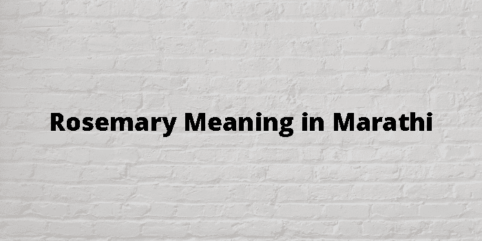 Rosemary Meaning In Marathi - मराठी अर्थ