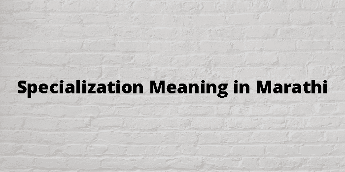 Specialization Meaning In Marathi - मराठी अर्थ