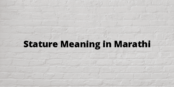 Stature Meaning In Marathi - मराठी अर्थ