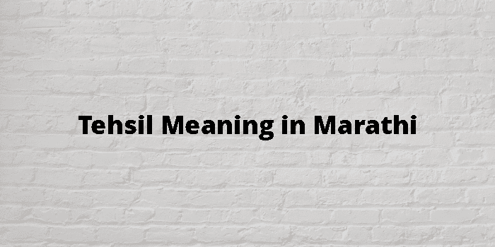 Tehsil Meaning In Marathi - मराठी अर्थ