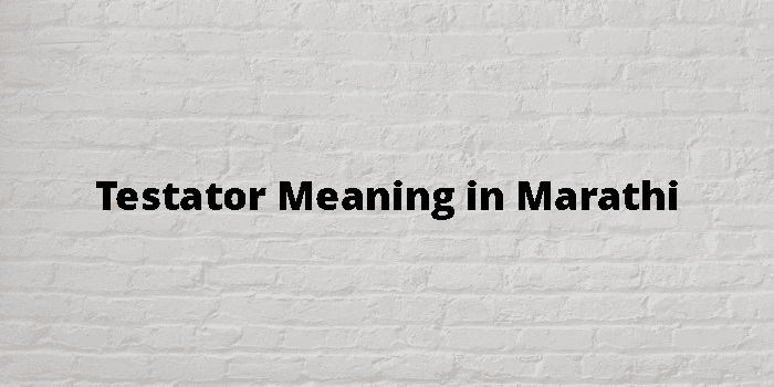 Testator Meaning In Marathi - मराठी अर्थ