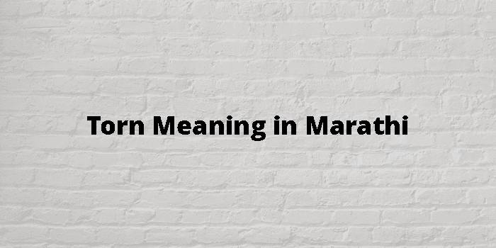 Torn Meaning In Marathi - मराठी अर्थ