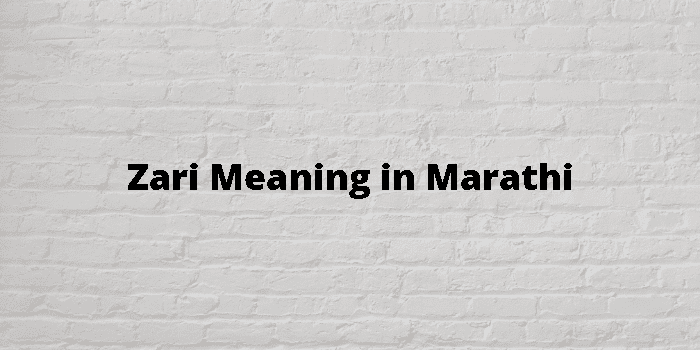 Zari Meaning In Marathi - मराठी अर्थ