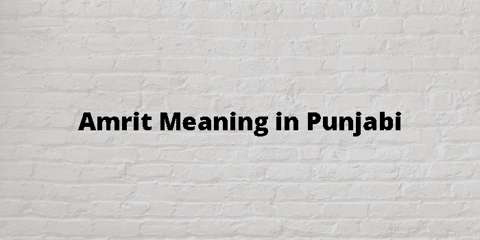 Amrit Meaning In Punjabi - ਪੰਜਾਬੀ ਦਾ ਮਤਲਬ