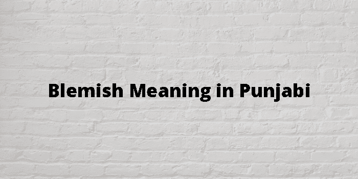 Blemish Meaning In Punjabi - ਪੰਜਾਬੀ ਦਾ ਮਤਲਬ