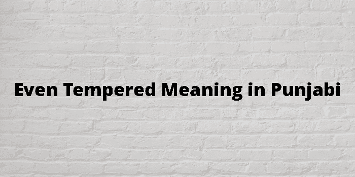 Even Tempered Meaning In Punjabi - ਪੰਜਾਬੀ ਦਾ ਮਤਲਬ