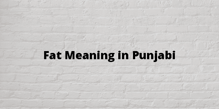 Fat Meaning In Punjabi - ਪੰਜਾਬੀ ਦਾ ਮਤਲਬ