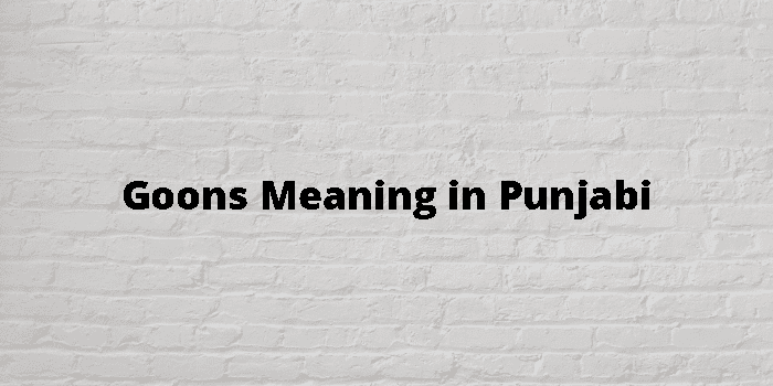 Goons Meaning In Punjabi - ਪੰਜਾਬੀ ਦਾ ਮਤਲਬ