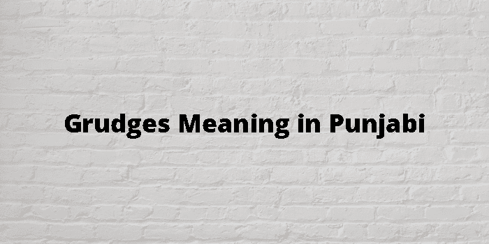 Grudges Meaning In Punjabi - ਪੰਜਾਬੀ ਦਾ ਮਤਲਬ