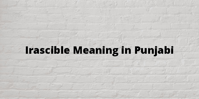 Irascible Meaning In Punjabi - ਪੰਜਾਬੀ ਦਾ ਮਤਲਬ