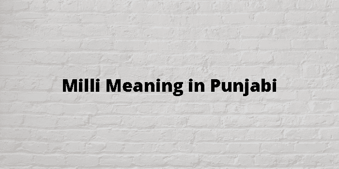 Milli Meaning In Punjabi - ਪੰਜਾਬੀ ਦਾ ਮਤਲਬ