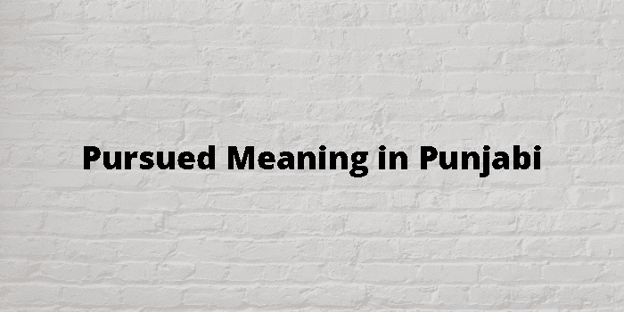 Pursued Meaning In Punjabi - ਪੰਜਾਬੀ ਦਾ ਮਤਲਬ