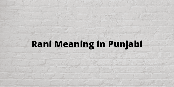 Rani Meaning In Punjabi - ਪੰਜਾਬੀ ਦਾ ਮਤਲਬ