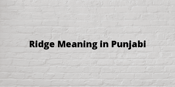 Ridge Meaning In Punjabi - ਪੰਜਾਬੀ ਦਾ ਮਤਲਬ