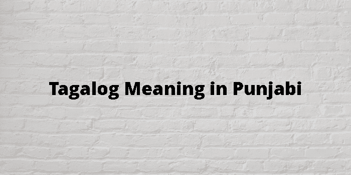 Tagalog Meaning In Punjabi - ਪੰਜਾਬੀ ਦਾ ਮਤਲਬ