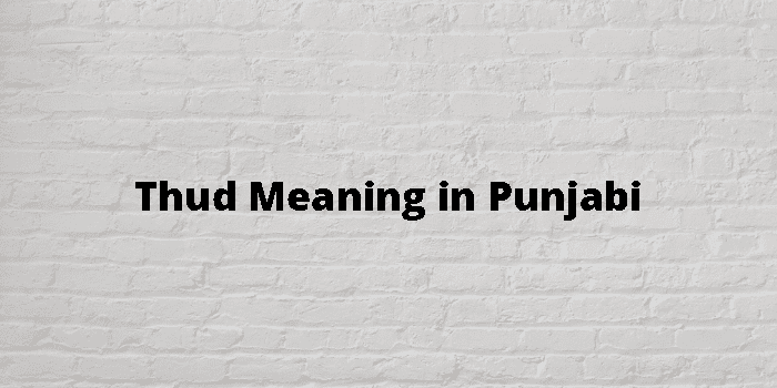 Thud Meaning In Punjabi - ਪੰਜਾਬੀ ਦਾ ਮਤਲਬ