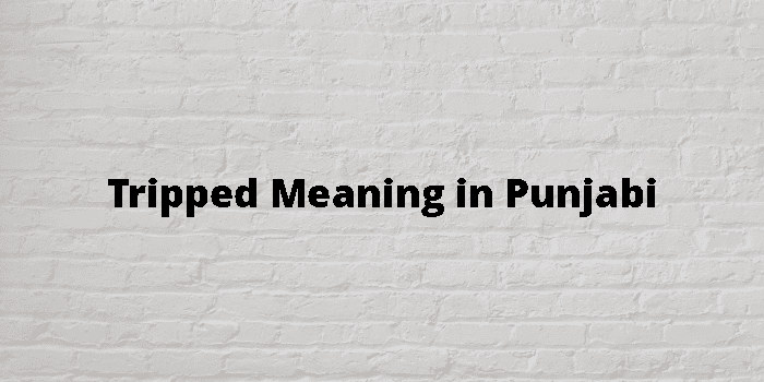 Tripped Meaning In Punjabi - ਪੰਜਾਬੀ ਦਾ ਮਤਲਬ