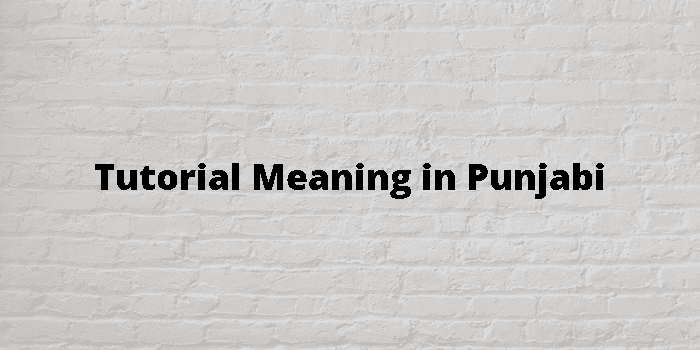 Tutorial Meaning In Punjabi - ਪੰਜਾਬੀ ਦਾ ਮਤਲਬ